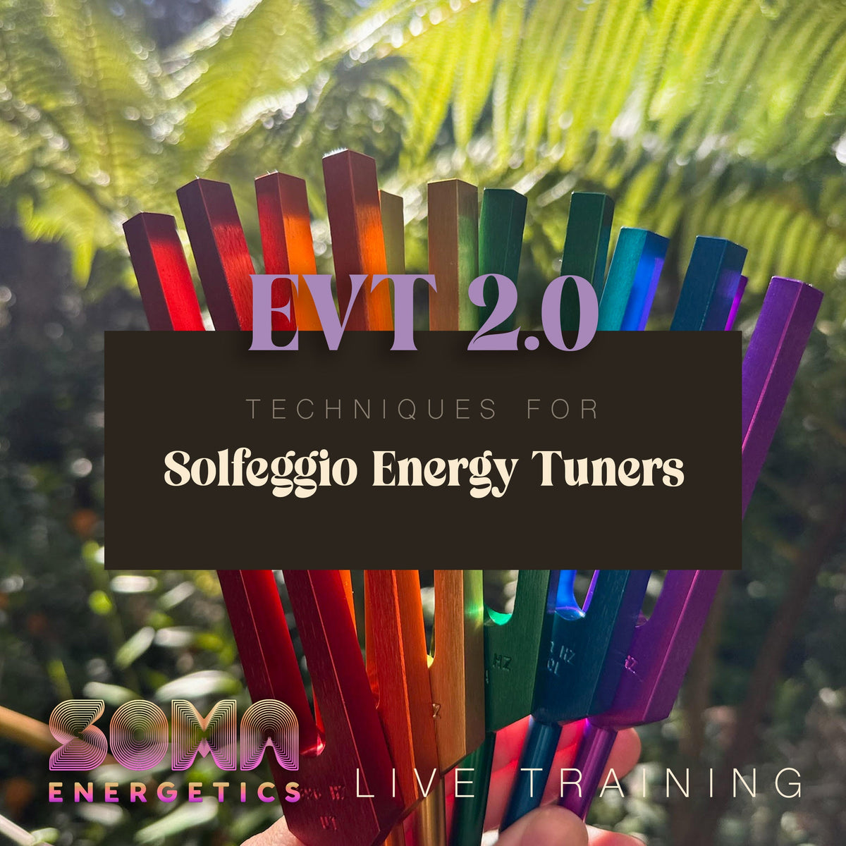 Energy Vitality Technique 2.0 - Live Tuning Fork Training Aug 31st ...